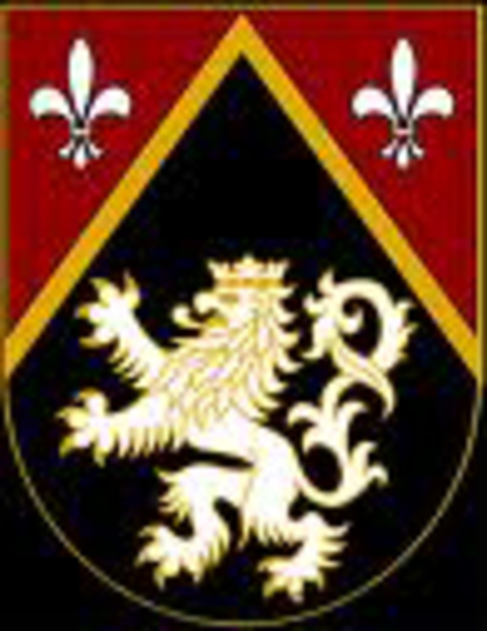 Project Presenter - Project Content Marketing